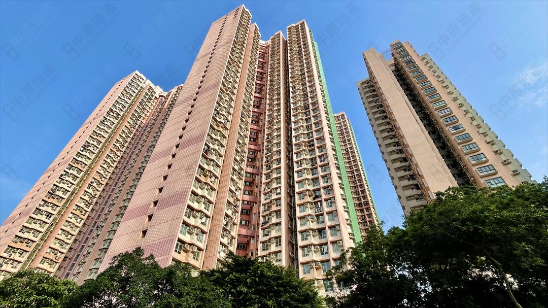 lai-wan｜地区专页｜中原地产